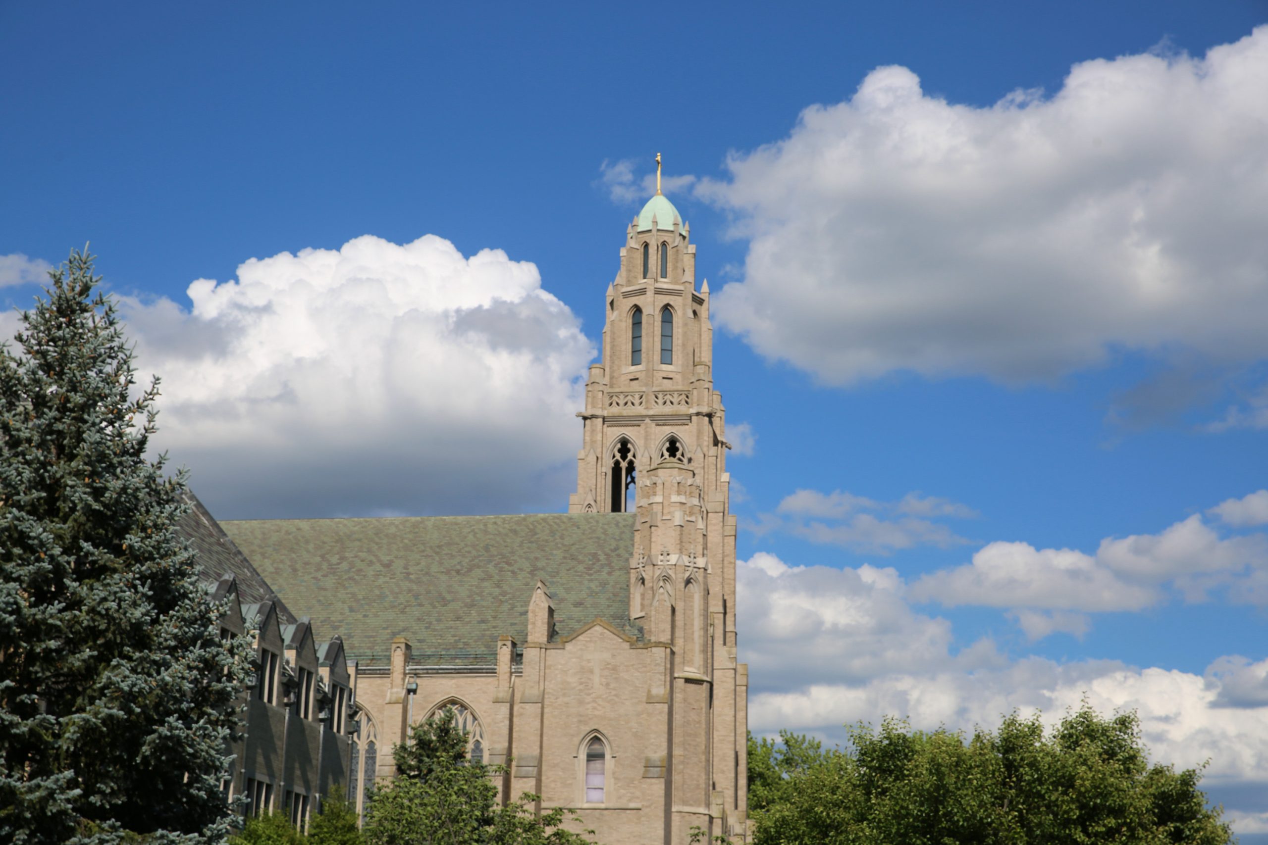 Latest News - The Diocese of Rockville Centre